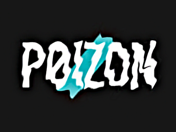 Фейковые сайты под Poizon обманывают покупателей в России